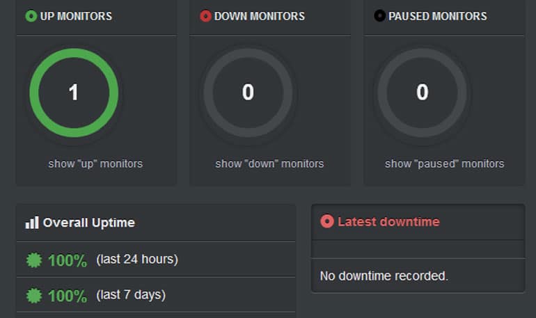 Free Uptime Monitoring added to Website Maintenance plan - Measured Designs